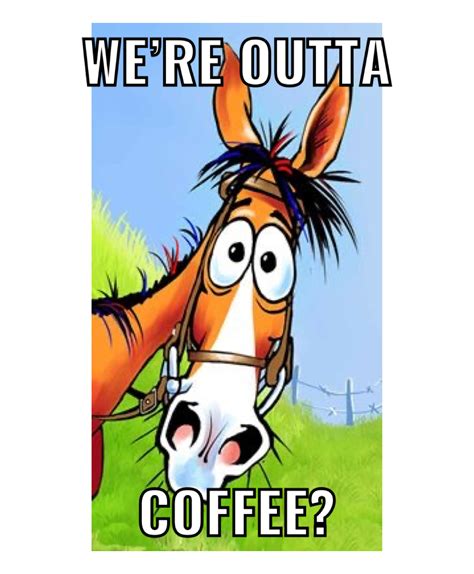 Funny Cartoon Horse Meme