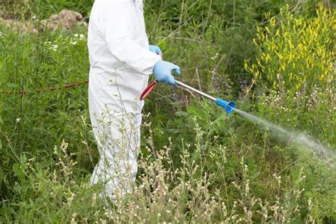 Our Services Turf Science Bed Bug Treatment