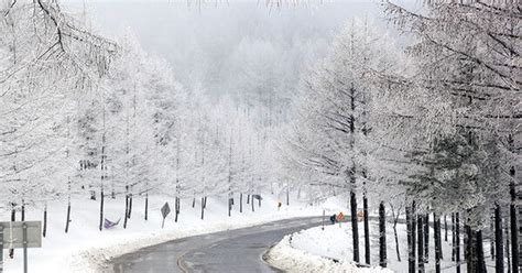 숨겨진 설경명소 강원도여행 눈꽃세상 가볼만한 상고대 일출명소