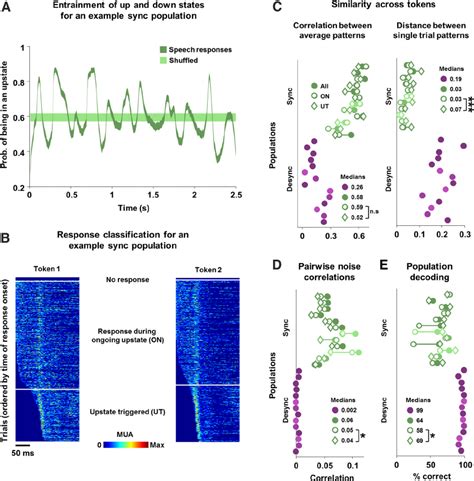 Spike Patterns Evoked By Different Speech Tokens In Synchronized A1 Are Download Scientific