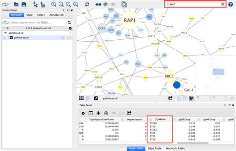 10 Finding And Filtering Nodes And Edges — Cytoscape User Manual 370