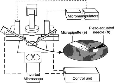 A New Method For Histological Microdissection Utilizing An