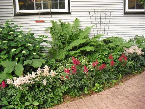 Shade Gardening For Front Yard Tips And Ideas