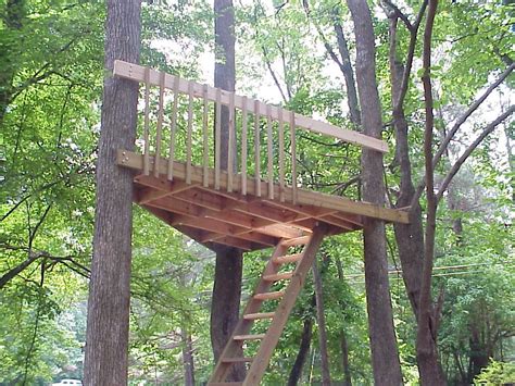 simple tree house platform