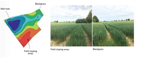 Variable Rate Seed Agrovista Precision