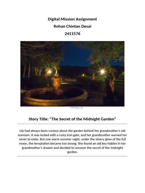 Digital Mission Assignment Pdf Home And Garden General Fiction