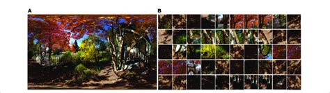Visualization Of Viewports In Davs Obtained By The Scanpath Based