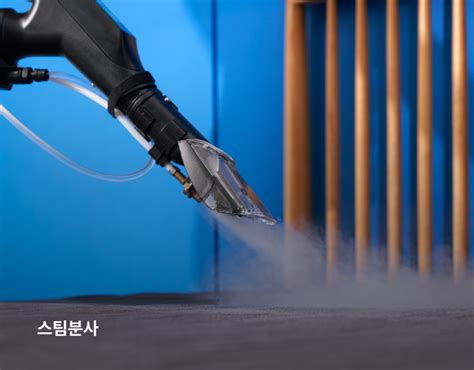 비치움 스팀 비치움 클린맥스렌탈 매트리스청소 소파청소 카페트청소
