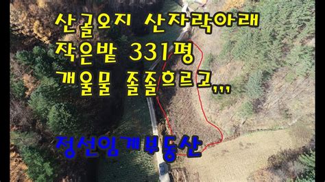 산골오지 산자락아래331평 밭을 매매합니다 개울물흐르는정선임계부동산 Youtube
