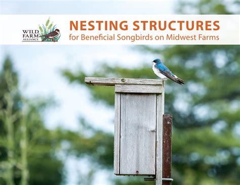 Nesting Structures For Beneficial Songbirds On Midwest Farms