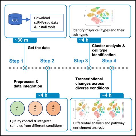 Cell Press Star Protocols
