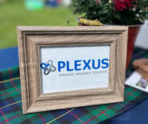 The Plexus Groupe On Linkedin Theplexusgroupe Proudlyplexus Sponsor