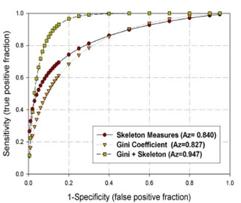 selected variables and their importance to training and classification