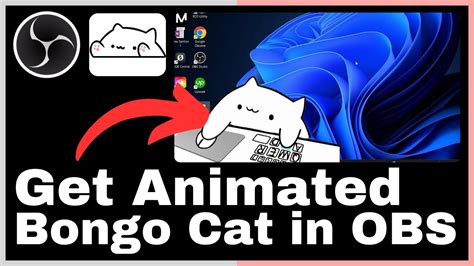 Bongo Cat Download Obs Bongo Cat Mod Ytxpj