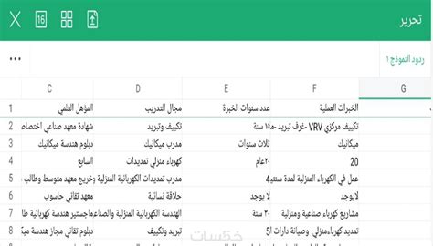 إدخال البيانات باستخدام برنامج Microsoft Excel خمسات