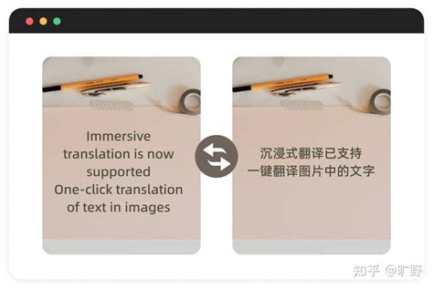 全网吹爆的「沉浸式翻译」！免费搞定网页pdf视频双语翻译，信息获取效率飙升！ 知乎