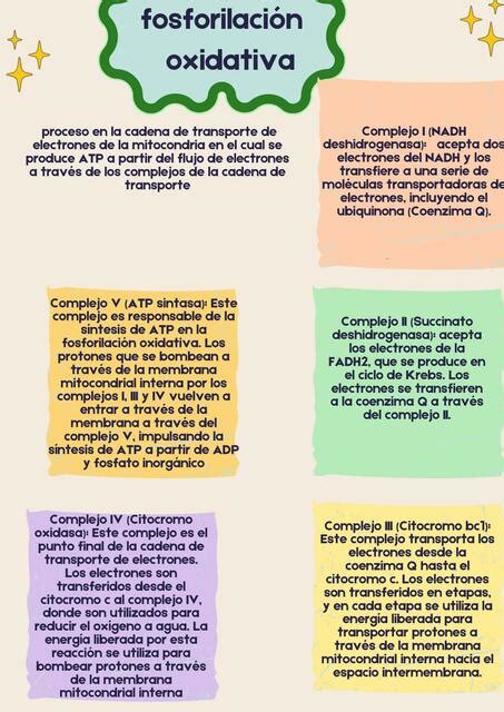 La Fosforilación Oxidativa Tatia Kiollj Udocz