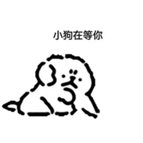 表情包049 小狗骑士会永远守护你