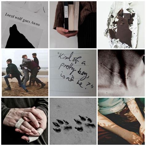 Trouble → Sirius Blacks Daughter Edited X Viktor Krum The Marauders Remus Lupin Harry