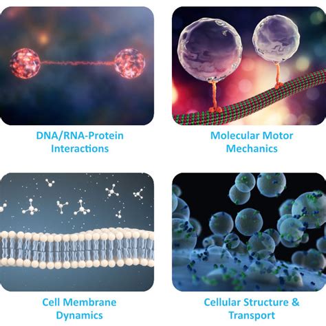 Optical Tweezers Cell Manipulation Tools