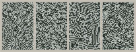 1305 Brain Coral Pattern Stock Vectors And Vector Art Shutterstock