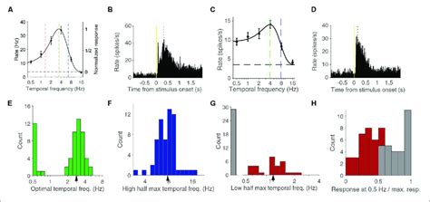Temporal Frequency Response At 90 Contrast Can Be Band Pass Or Low