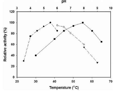 Effects Of Reaction Temperature And Ph On The Xylanase Activity