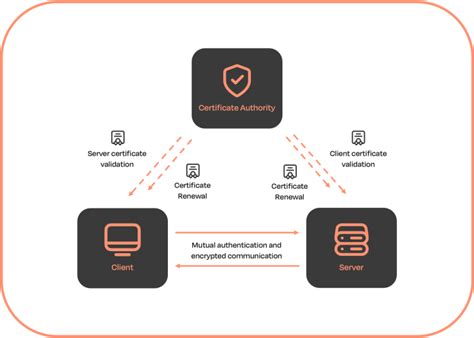 Understanding MTLS And Its Role In Zero Trust Security EJBCA