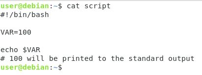 Writing Scripts On Linux Using Bash Devconnected