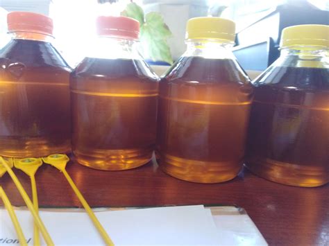 Soybean Oil Inspection Services Ciss Group