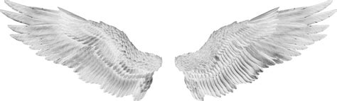 Seashells Background Bilder Durchsuchen 325 336 Archivfotos Vektorgrafiken Und Videos Adobe