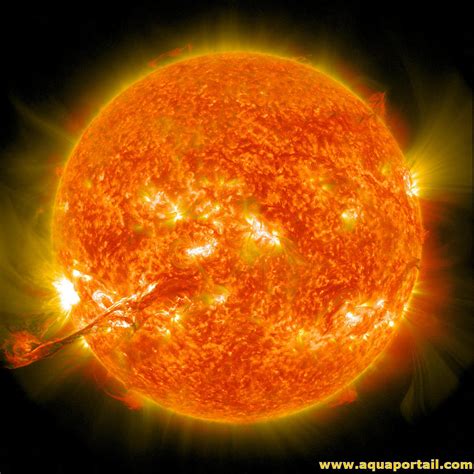 Canicule Définition Et Explications