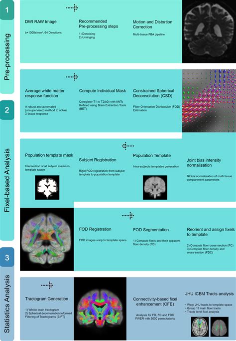 Flowchart Showing Key Steps Of The Cross‐sectional Fixel‐based Analysis