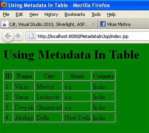how to work with metadata in jsp