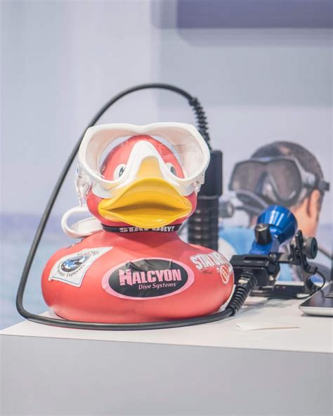 What The Duck A Hackers Guide To Divesoftduck Acronyms Indepth