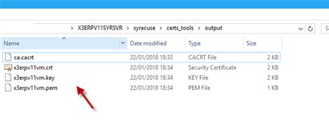 How To Declare A Certificate For Authentication Between Syracuse And Application Runtime Server
