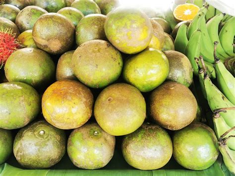 ตลาดเกษตรกรออนไลน์ สมาคมพืชสวนแห่งประเทศไทย