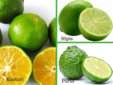 Limau Kasturi Nipis Dan Purut Nampak Sama Tapi Ada Beza