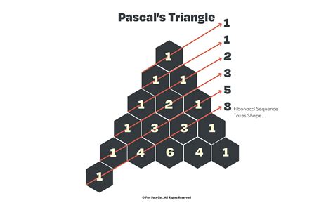 Fibonacci Pascal And Golden Ratio Fun Facts Fun Fact Co Fun Fact Co