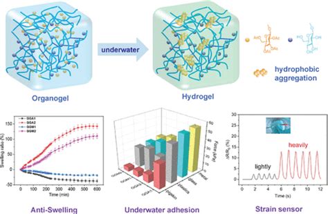 Glycopolymer Based Antiswelling Conductive And Underwater Adhesive Hydrogels For Flexible