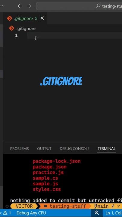 Why Your Project Needs A Gitignore File Youtube