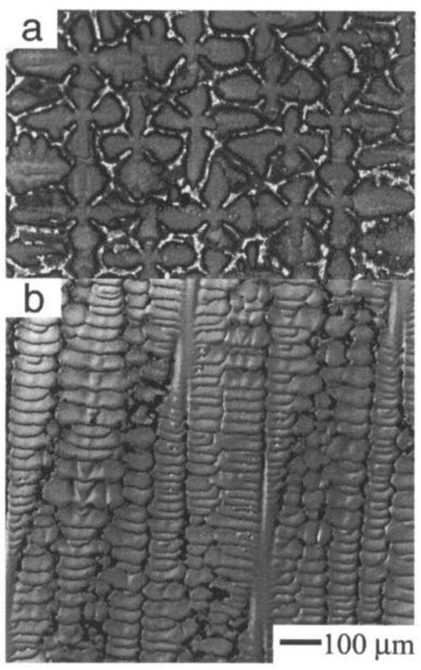 Optical Micrograph Of The As Cast Structure Of Cmsx 4 A