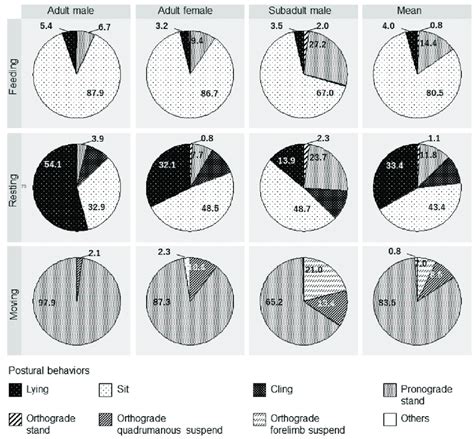 Time Allocation Patterns Of Postural Behavior By Activity Feeding