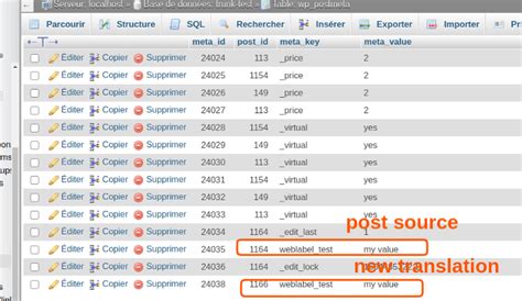 When Creating A Translation The Values Filled In The Pods Custom Fields