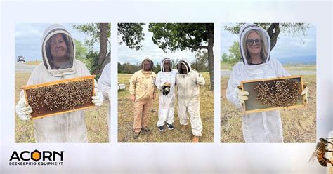 Acorn Beekeeping