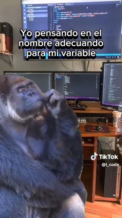 Si Somos 😜programmer Programming Variablesinpython Youtube