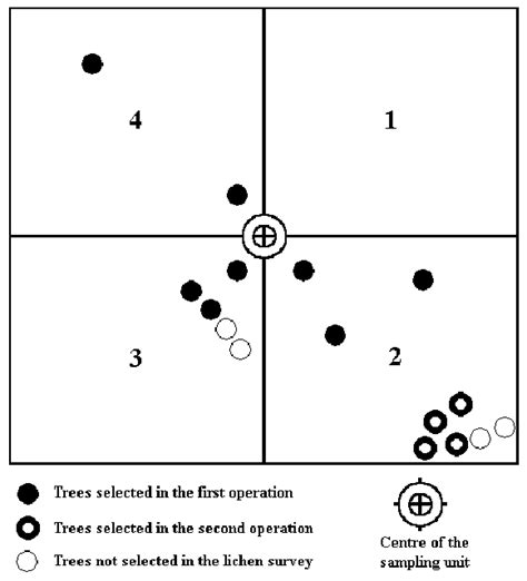 Example Of Selection Of Trees In A Sampling Unit Download Scientific Diagram