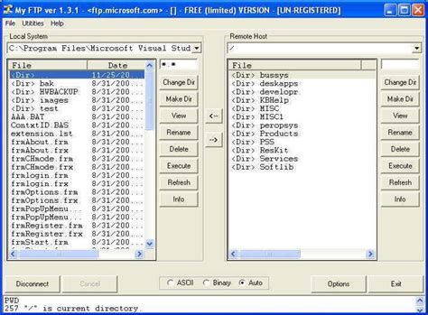 My Ftp Download Transfer Files To And From Remote System