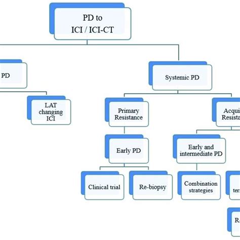 Schematic Representation Of An Algorithm For Patients With Nsclc Who Download Scientific