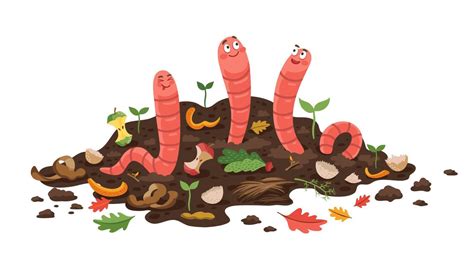 Cartoon Compost Worms Isolated Vector Earthworms 21601381 Vector Art